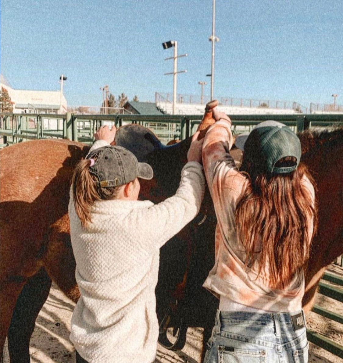 5 Essential Steps to Prepare for Your First Horseback Riding Lesson ...